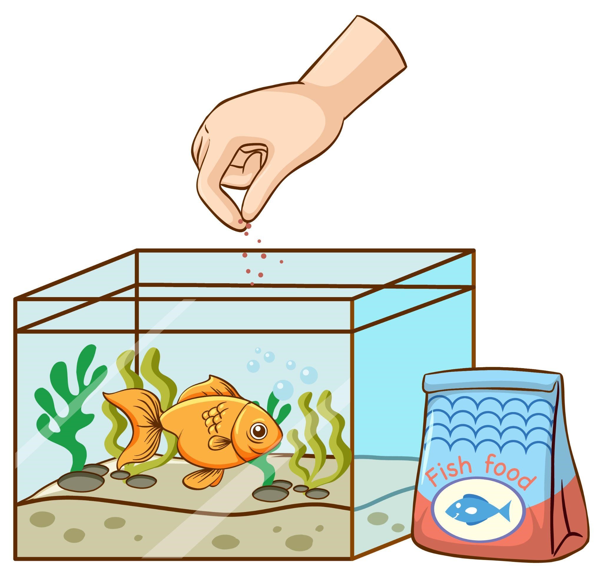 The Ultimate Guide: What Can Goldfish Eat? - Vent Magazines