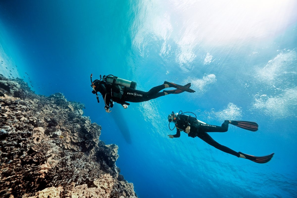 Maldives Scuba Diving Liveaboard: The Ultimate Underwater Adventure ...